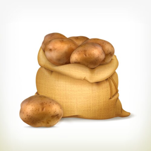 Potatoes Royalty Free Vector Image - VectorStock