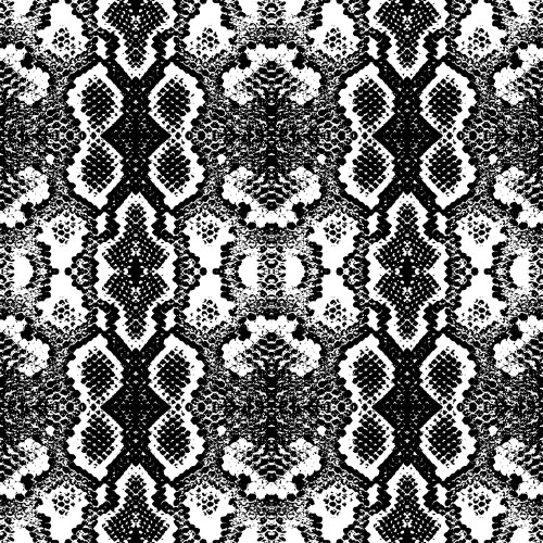 Snake python skin texture seamless pattern black Vector Image