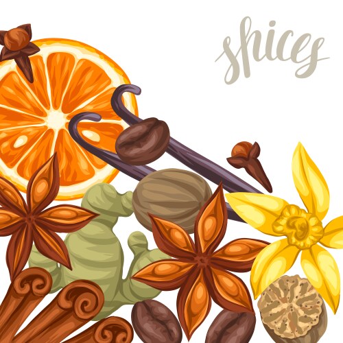 Banners design with various spices Royalty Free Vector Image