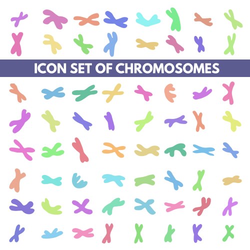 Chromosome Vector Images (over 30,000)