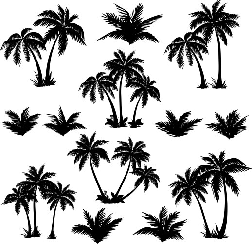 Palm Tree Outline Vector Images (over 16,000)