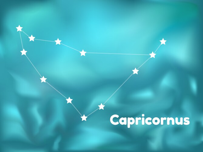 Capricornus constellation starry night sky Vector Image