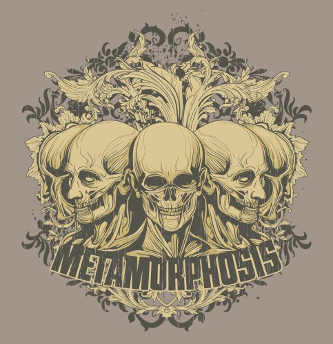 Metamorphosis Vector Images (over 3,600)