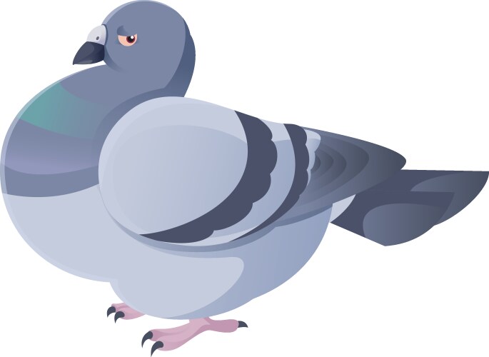Cute pigeon standing Royalty Free Vector Image