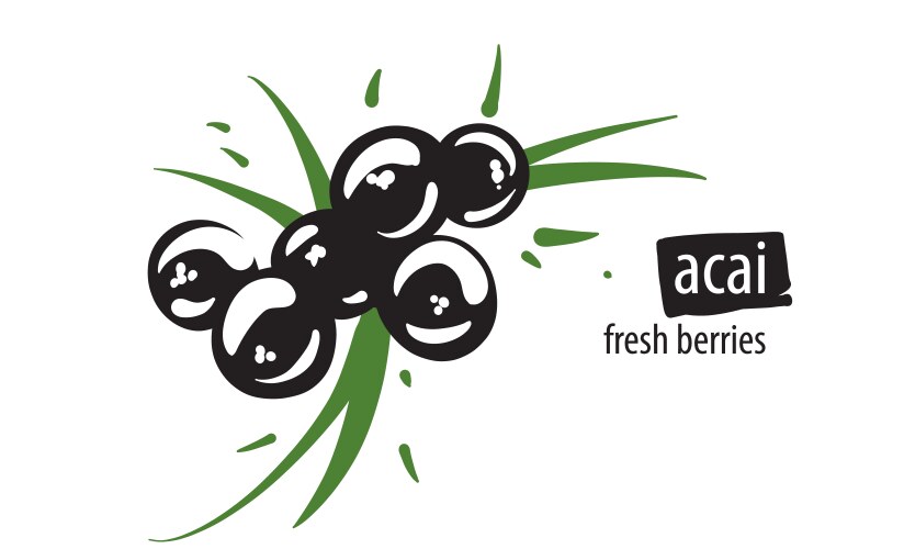 Acai berries Royalty Free Vector Image - VectorStock
