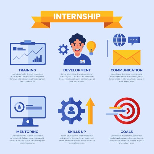 Internship training infographic Royalty Free Vector Image
