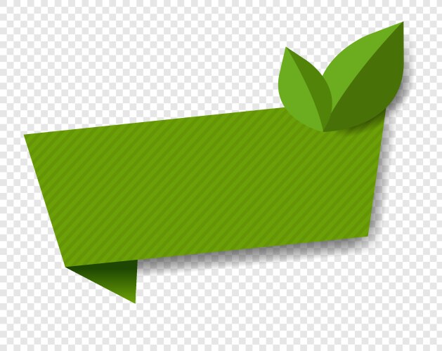 Green label isolated transparent background Vector Image