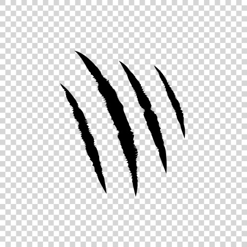 Lion Scratch Vector Images (over 970)