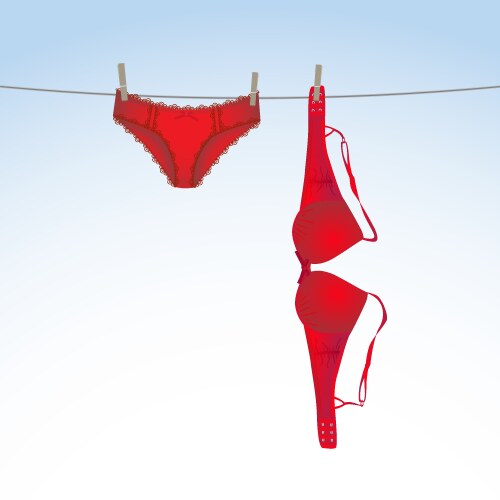 Underclothes Royalty Free Vector Image - VectorStock