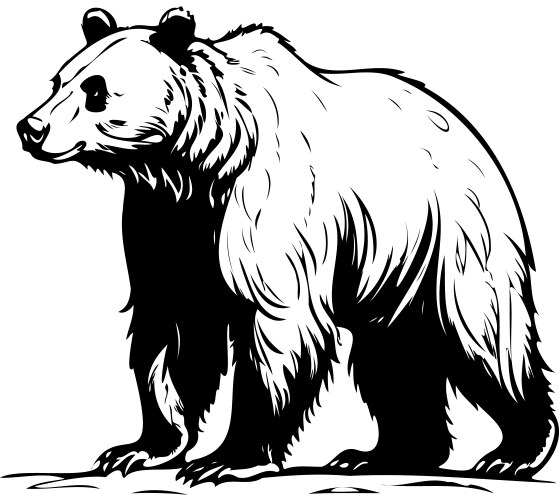 Bear Pencil Drawing Vector Images (over 920)