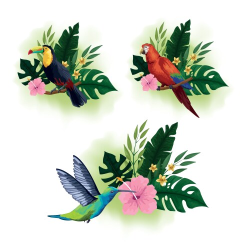 Guacamaya Vector Images (24)