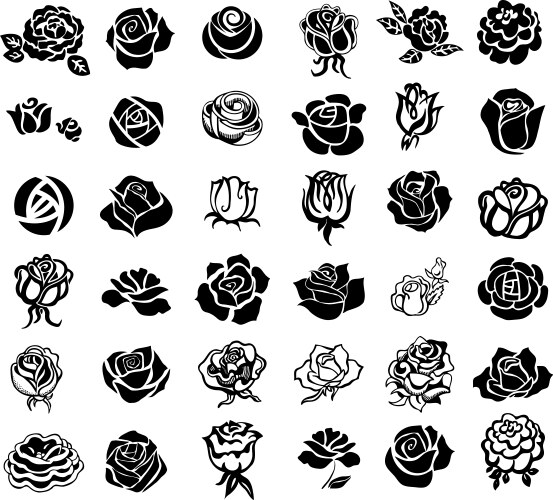 Roses design elements Royalty Free Vector Image