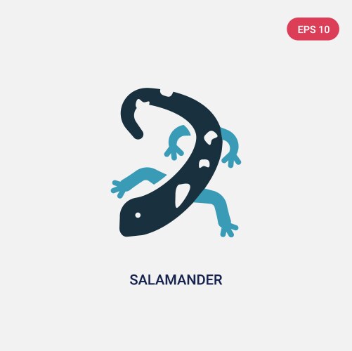 A salamander stylized drawing Royalty Free Vector Image