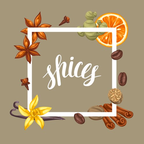 Banners design with various spices Royalty Free Vector Image