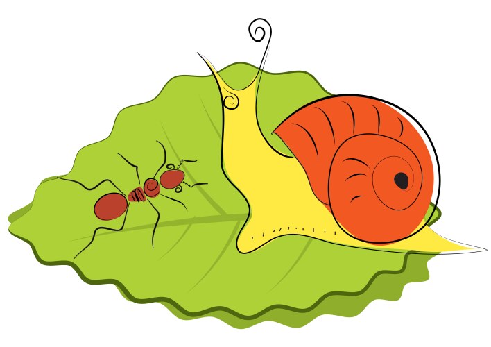 Insect cartoon Royalty Free Vector Image - VectorStock