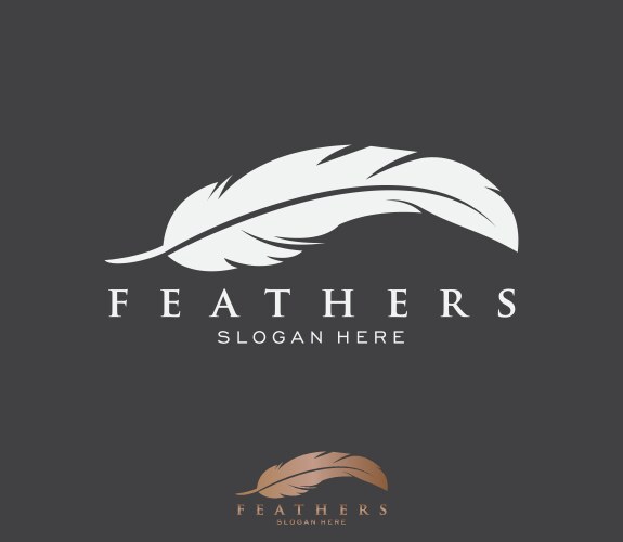 Four feather logos Royalty Free Vector Image - VectorStock