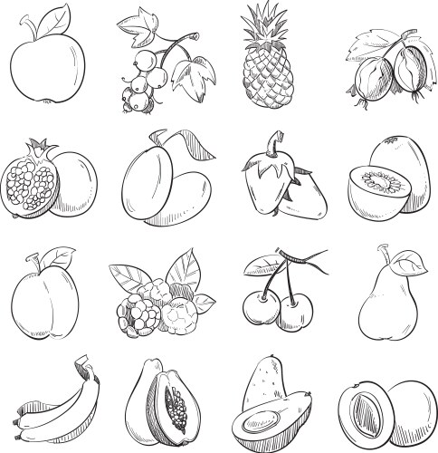 Fruits Drawing Vector Images (over 150,000)