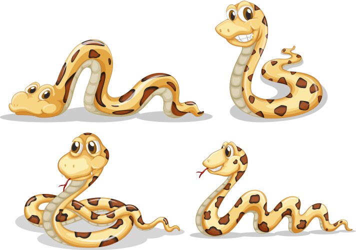 Collection of the big snakes Royalty Free Vector Image