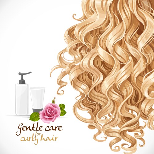 Curled hair strands Royalty Free Vector Image - VectorStock