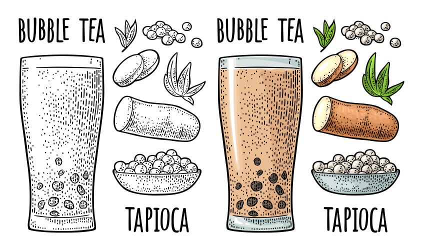 Bubble tea sketch summer drink flavored teas Vector Image
