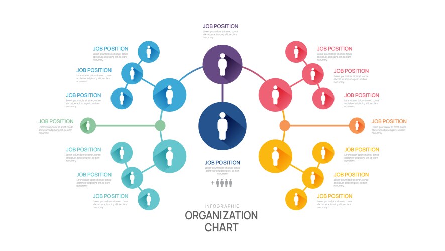 Organization chart india map infographic template Vector Image