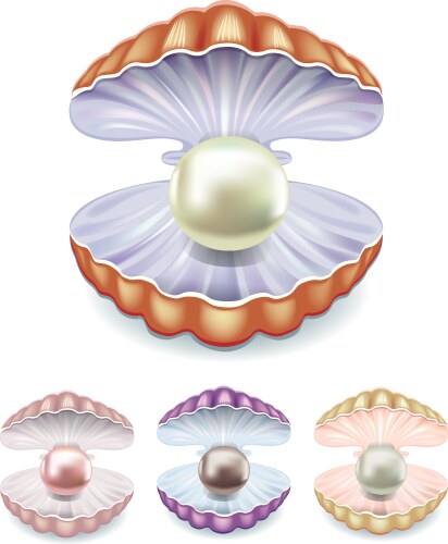 Precious pearl in opened shell realistic Vector Image