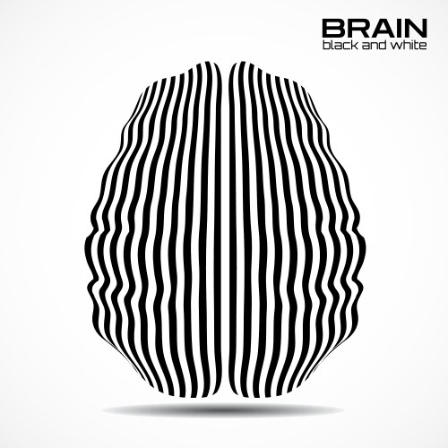 Abstract human brain with white and black lines – Royalty-Free Vector ...