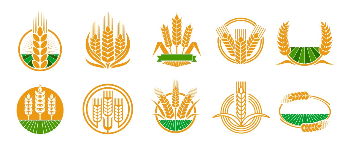 Agriculture icons with wheat rye cereal ears Vector Image