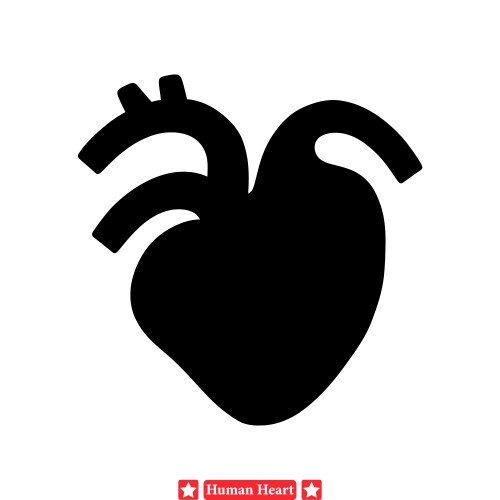 Comprehensive human heart anatomy silhouette Vector Image
