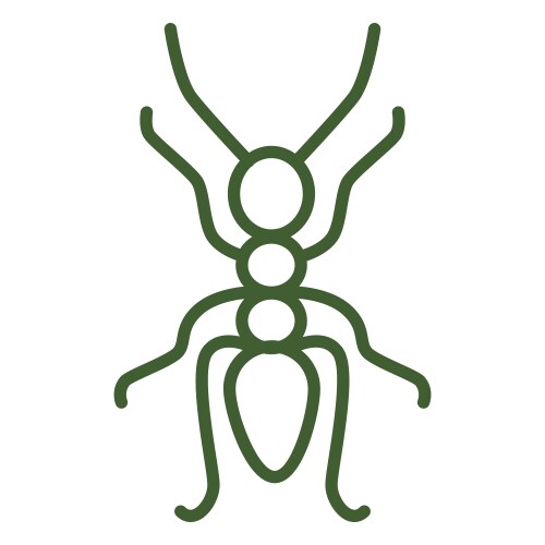 Blue ant insect icon Royalty Free Vector Image