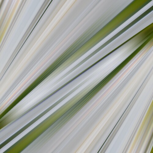 Abstract colored background of linear stripes Vector Image