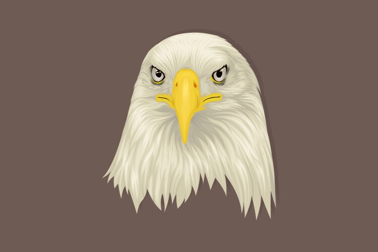 Realistic Eagle Vector Images (over 1,700)
