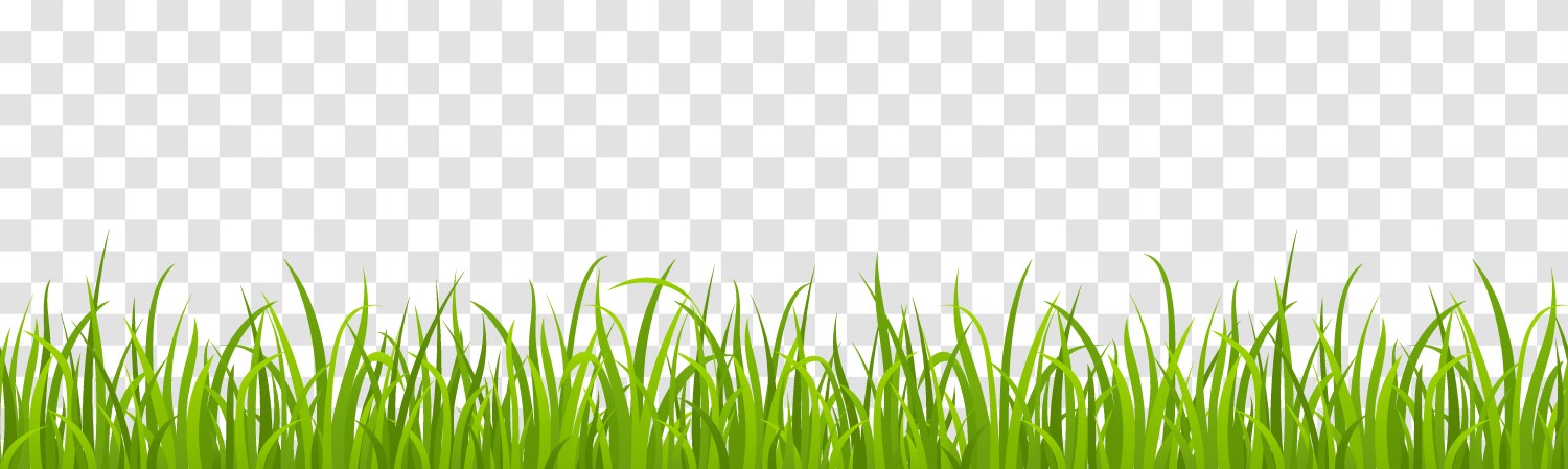 Super realistic grass Royalty Free Vector Image