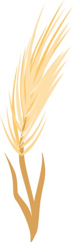 Single Wheat Stalk Vector Images (79)