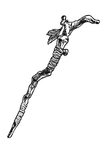 Spider with a cross hand drawn sketch Royalty Free Vector