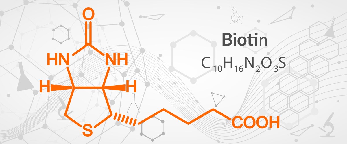 Vitamin B7 Vector Images (over 220)