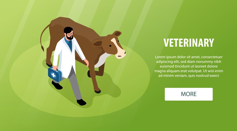 Veterinary horizontal banner Royalty Free Vector Image