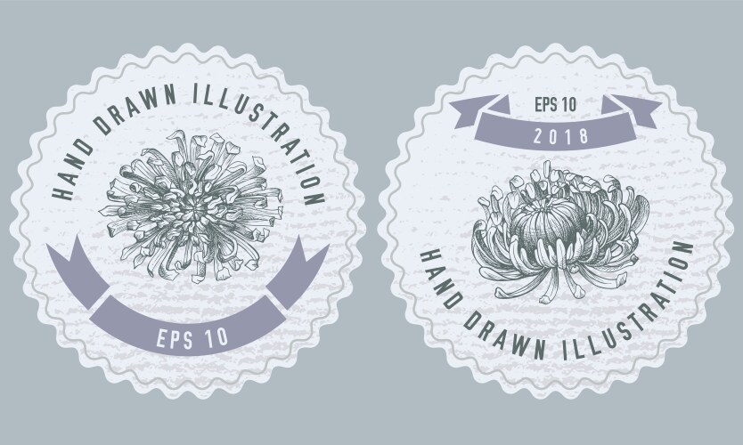 Aster logo Vector Images & Graphics for Commercial Use | VectorStock