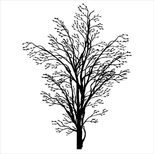 Spring Tree Vector Images (over 250,000)