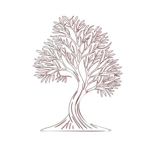 Maple tree nature outline sketch Royalty Free Vector Image