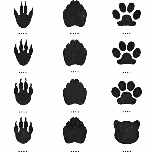 Detailed animal tracks chart for wildlife Vector Image