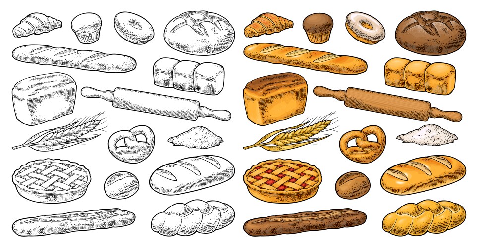 French Bread Vector Images (over 24,000)