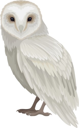 Owl Side View Vector Images (66)