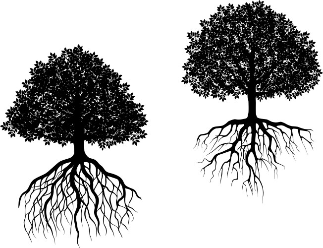 Tree with Roots Outline Vector Images (over 3,700)
