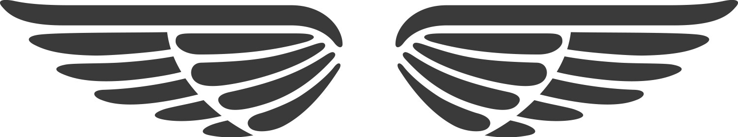 Angel freedom wings insignia template Royalty Free Vector