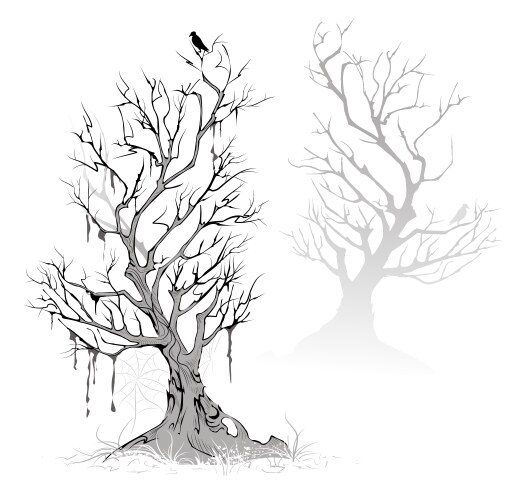 Trees collection Royalty Free Vector Image - VectorStock