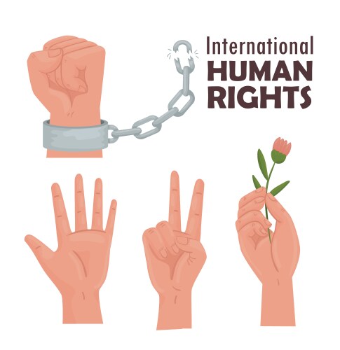 International human rights lettering poster Vector Image