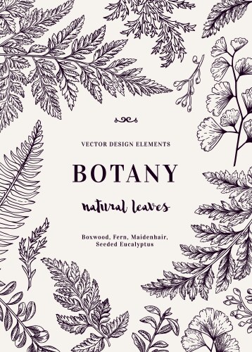 Botanical Leaves Vector Images (over 200,000)