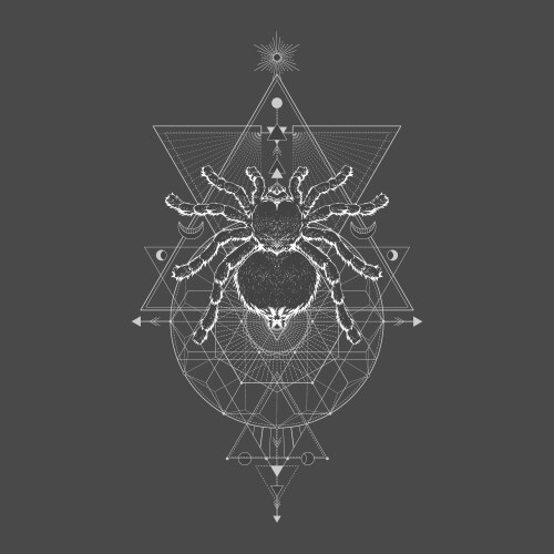 Spider and sacred symbol Royalty Free Vector Image