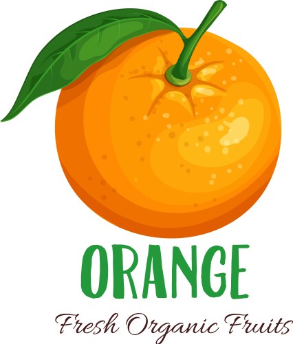 Isolated simple orange fruit cartoon Royalty Free Vector